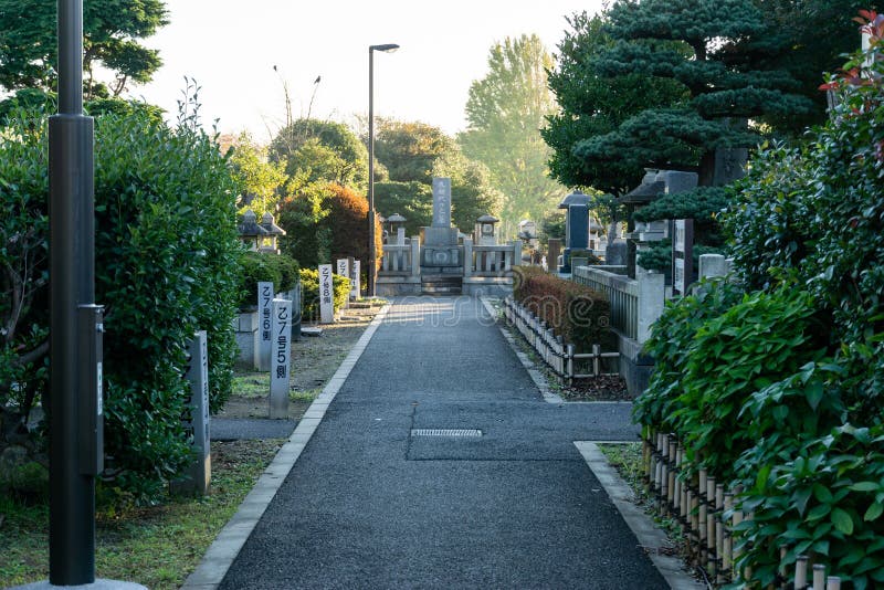 Yanaka Cemetery, Japan Tokyo Editorial Stock Image - Image of golden ...
