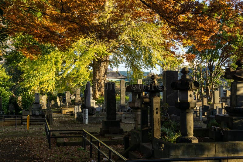 Yanaka Cemetery, Japan Tokyo Editorial Photo - Image of japan, maple ...