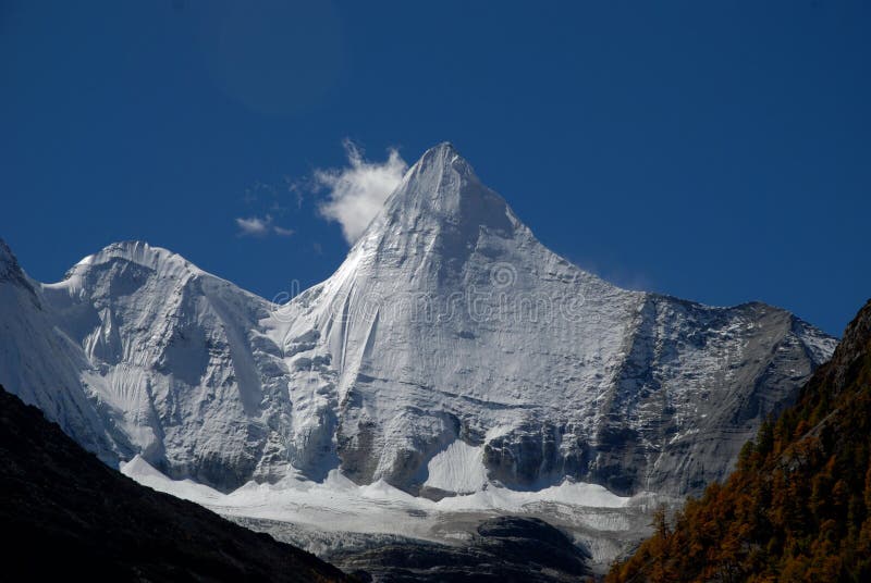 Yangmai yong VII stock photo. Image of plateau, inagi - 12606282