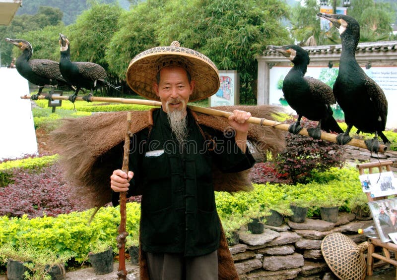 Yangshuo, China: Man with Four Comorrant Birds Editorial Photo - Image ...