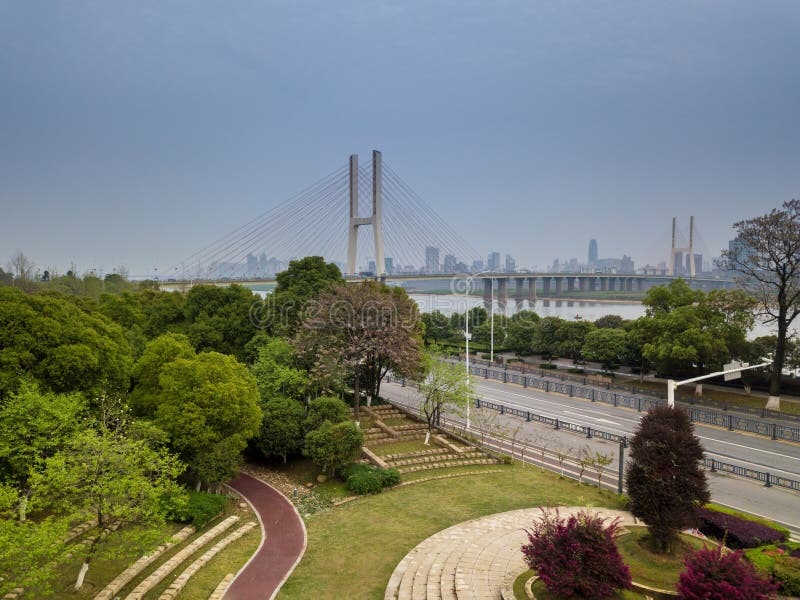 Yangtze River Cable Stayed Bridge Stock Image - Image of russia, build ...