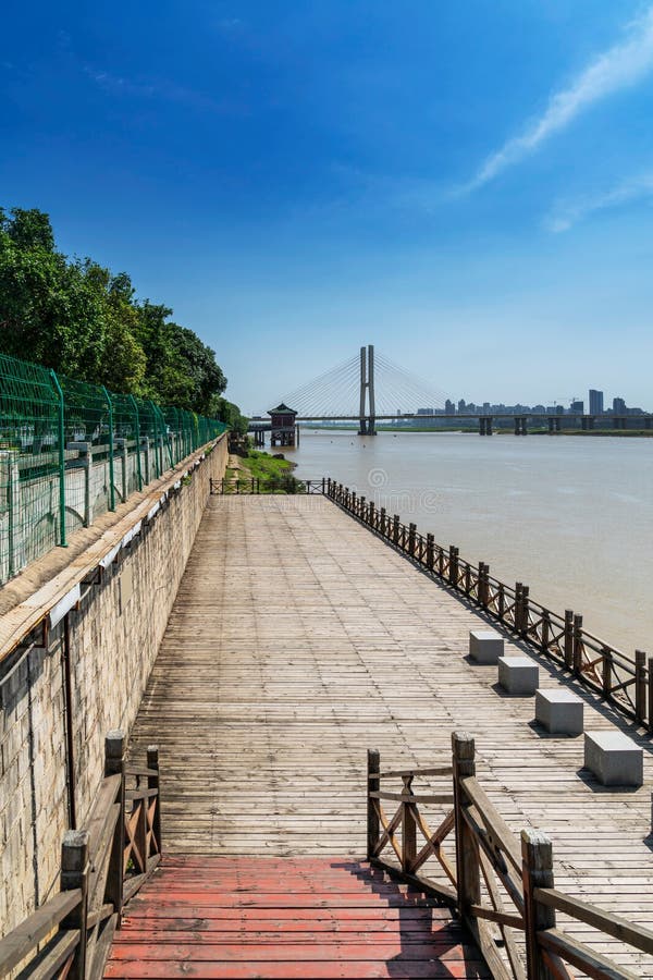 Yangtze River Cable Stayed Bridge Stock Image - Image of suburbs ...