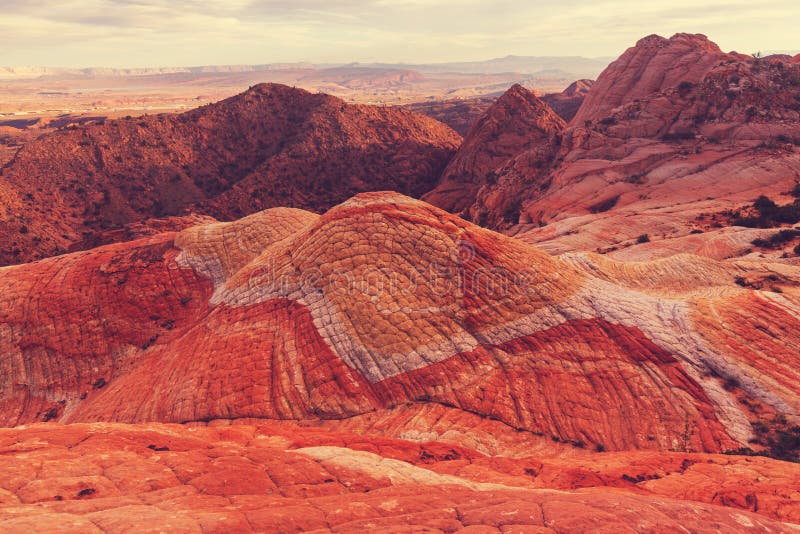 Yant flat stock image. Image of nature, hike, amazing - 64624383