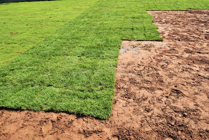Yard stock photo. Image of cover, ground, yard, green - 75802866