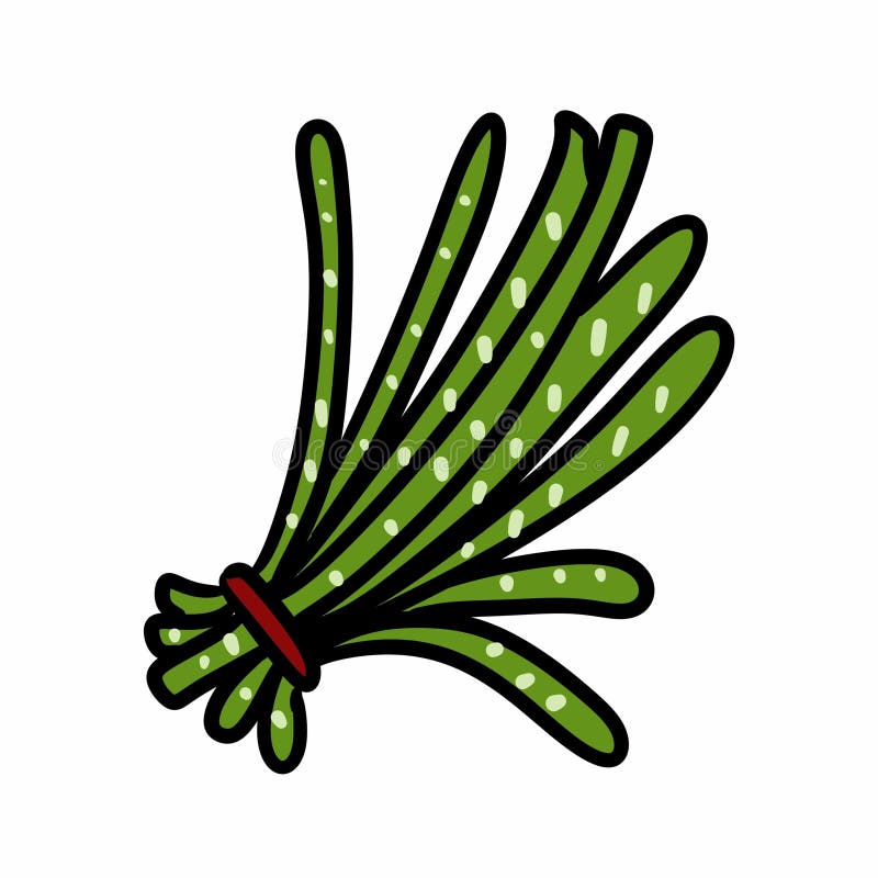 Yard Long Bean Stock Illustrations – 43 Yard Long Bean Stock ...