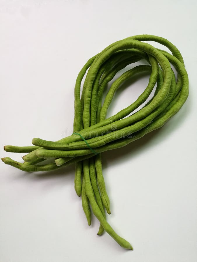 BUNCH GROUP of GREEN ASPARAGUS SNAKE YARD LONG BEANS Stock Photo ...