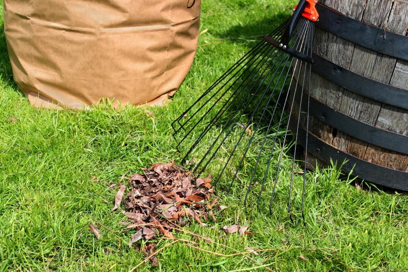 Yard maintenance stock photo. Image of raking, paper, lawn - 9700186
