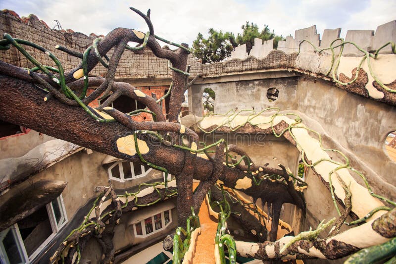 Tangled Trunks stock image. Image of tusks, fauna, wildlife - 20354133