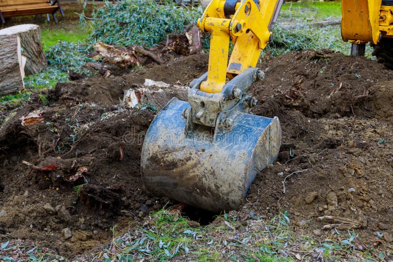 Yard Work Bulldozer the Roots Stump Removal of the Tree that Was Cut ...