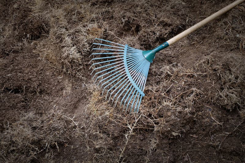 Yard Work, Preparation Soil in Garden with Rake Stock Image - Image of ...