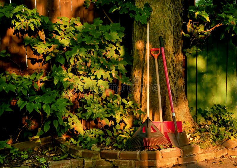 Yard Work Tools on Tree in Yard for Rake and Shoveling Bagging Yard ...