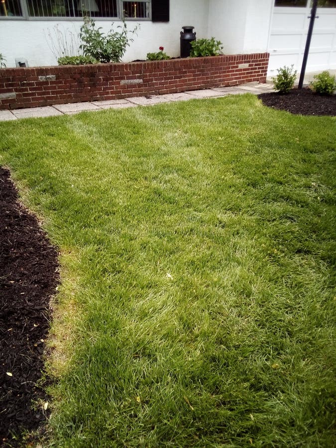 Yard work 3 stock image. Image of spring, yards, mulch - 148097099