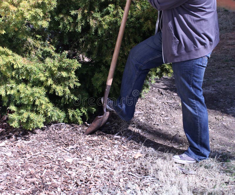 Yard Work stock image. Image of teen, landscape, work - 40025205