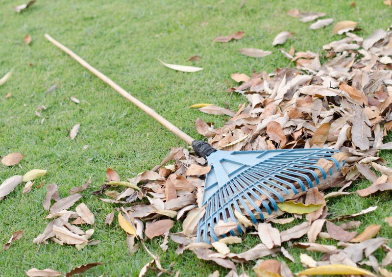 Yard Working and Gardening Tools on Green Grass Stock Image - Image of ...