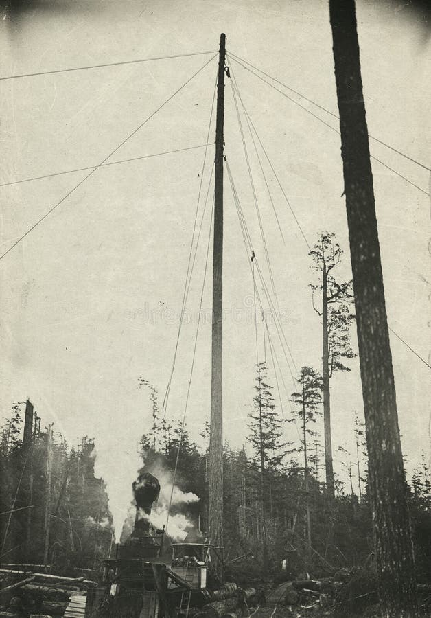 Yarder At Spar Tree: It Takes Lots Of 1/4 Inch Lines Picture. Image ...