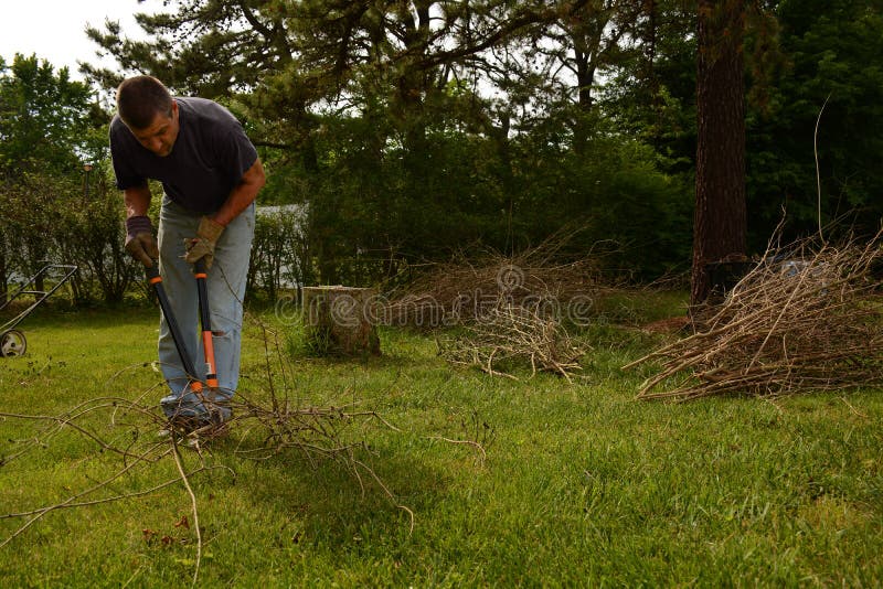 Yardwork bundling twigs stock image. Image of landscape - 60351077