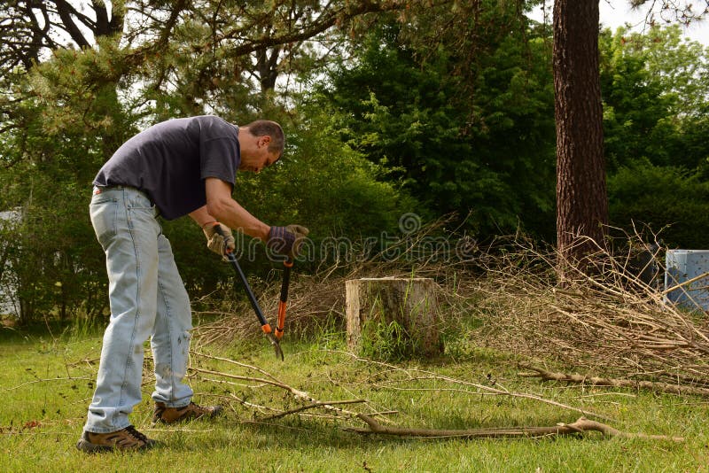 Yardwork bundling twigs stock image. Image of tree, cutting - 60351055