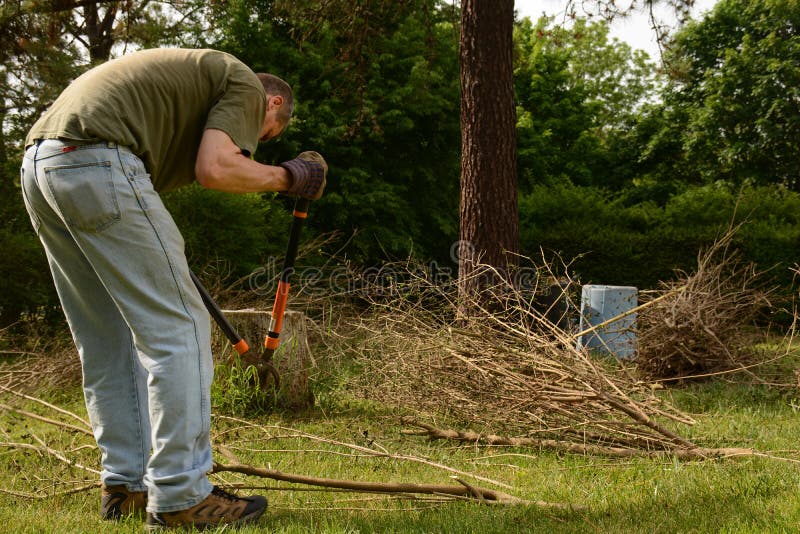 Yardwork bundling twigs stock photo. Image of bundle - 60351090