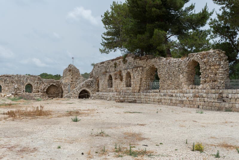 Yarkon National Park in Central Israel Stock Image - Image of national ...