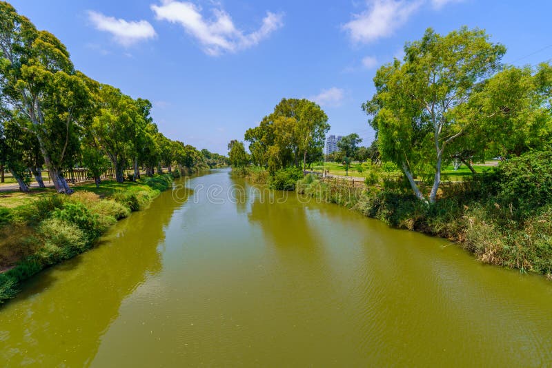 Yarkon River, and Trees, in the Yarkon Park Stock Photo - Image of ...
