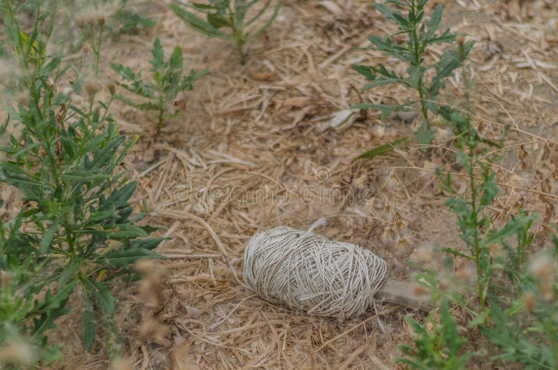 Yarn on the Ground in Greenhouse Stock Photo - Image of uninhabited ...