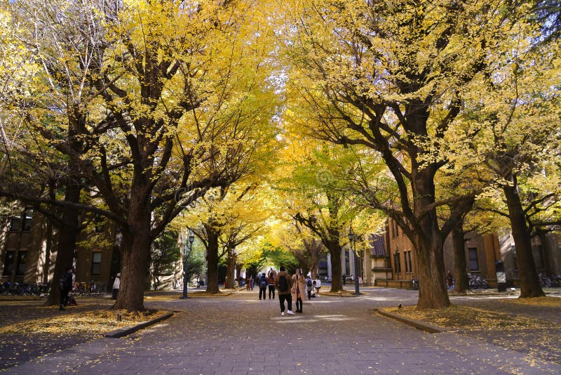 Nov 30 2023 Yasuda Auditorium, the Famous Clock Tower of the University ...