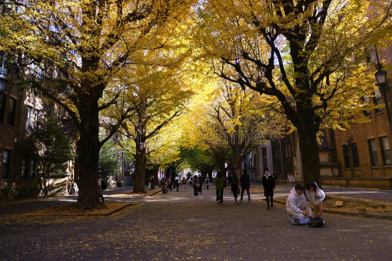 Nov 30 2023 Yasuda Auditorium, the Famous Clock Tower of the University ...