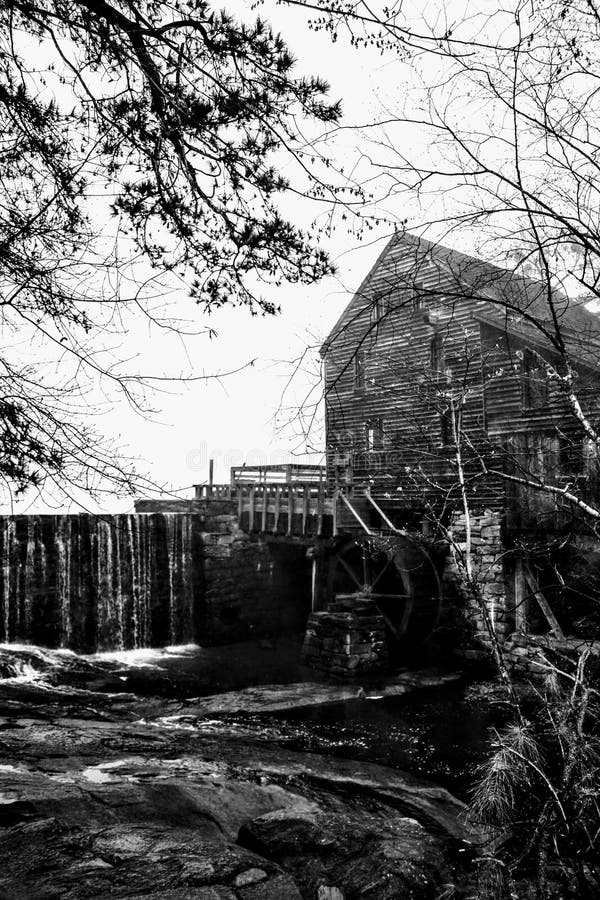 Yates mill pond raleigh nc foto de archivo. Imagen de yates - 214842524