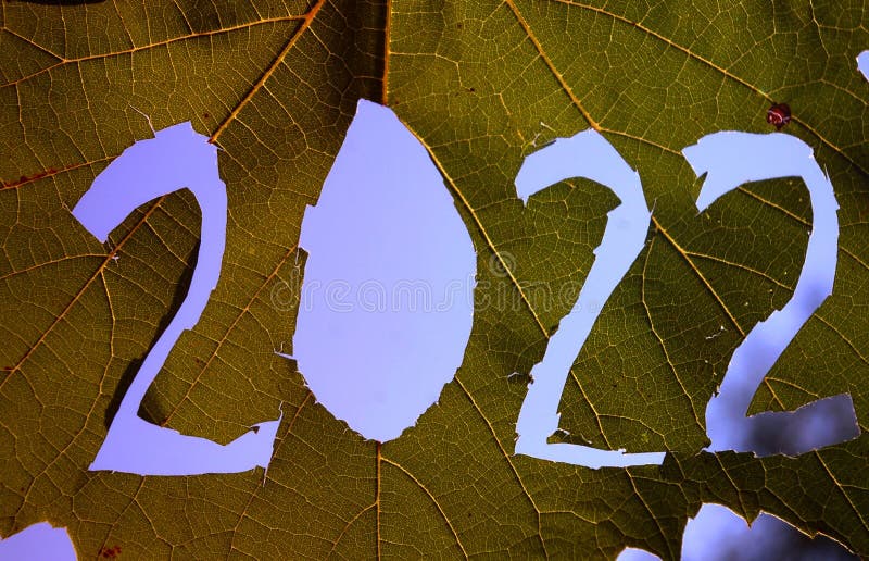 Year 2022 Cut Out on a Green Vine Leaf. Sustainability and ...