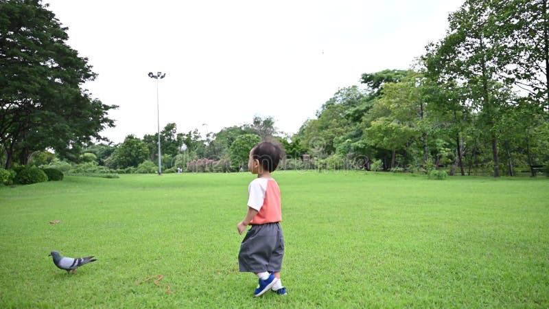 A 1-2 Year Old Boy is Having Fun Chasing Birds in the Park, and His ...