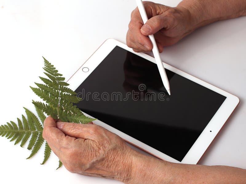 An 80-year-old Elderly Woman Holds an Electronic Device in Her Hands ...