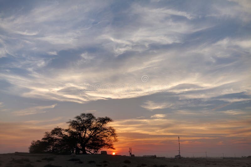 Tree of Life during Sunset with Dramatic Clouds, Bahrain Stock Image ...