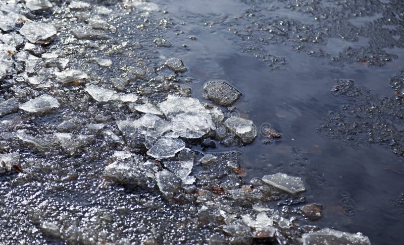 This Years First Ice Covers a Small Body of Water Stock Image - Image ...