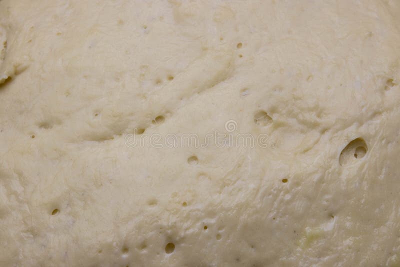 5,312 Yeast Dough Texture Stock Photos - Free & Royalty-Free Stock ...