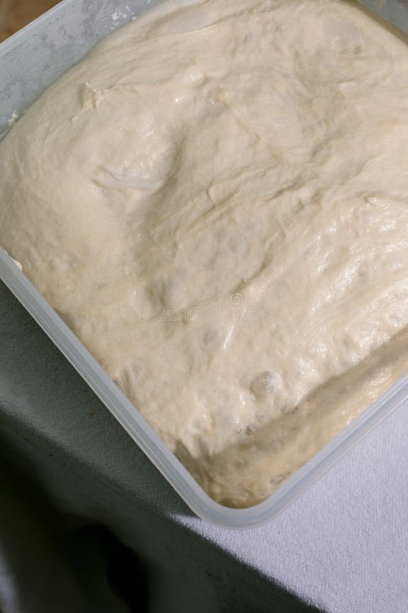Yeast Dough Rising in Plastic Container Stock Image - Image of bread ...