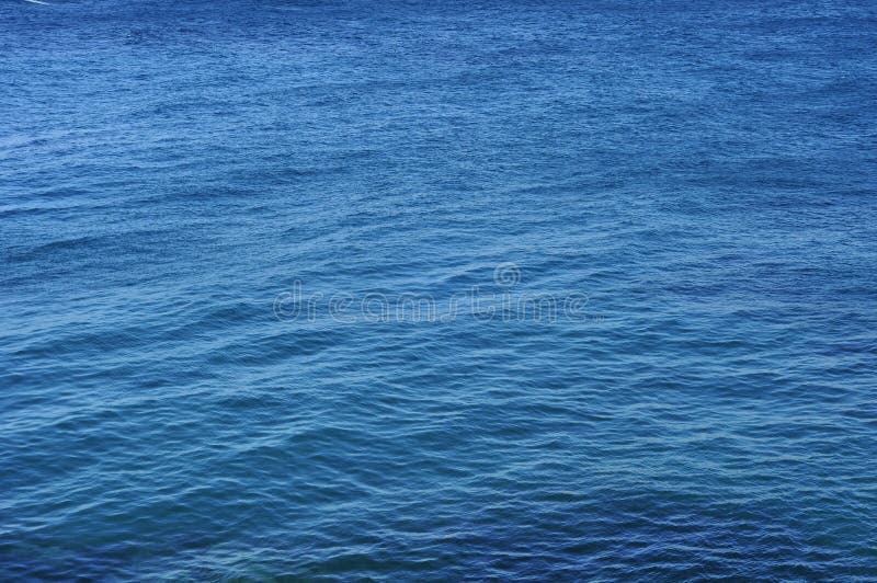 Yegua azul imagen de archivo. Imagen de marejada, fondo - 14423319