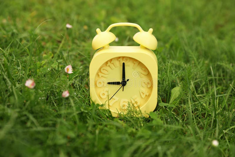 Yellow Alarm Clock on Green Grass Outdoors Stock Image - Image of awake ...