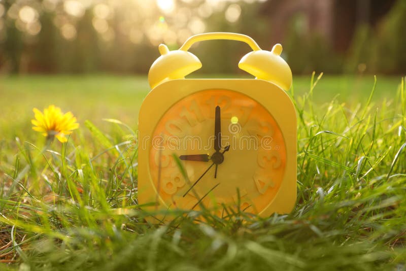 Yellow Alarm Clock on Green Grass Outdoors, Closeup Stock Photo - Image ...