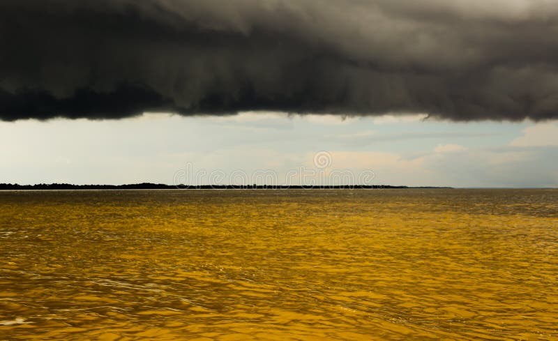 Yellow amazon river stock photo. Image of reflection - 98935952