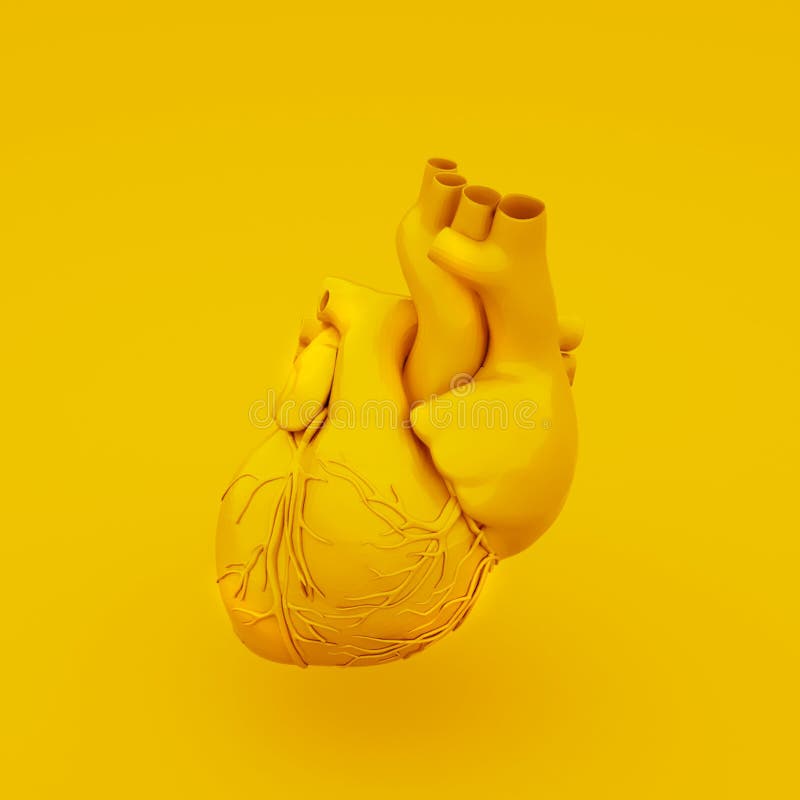 Yellow Anatomical Heart Concept. 3D Illustration Stock Illustration ...