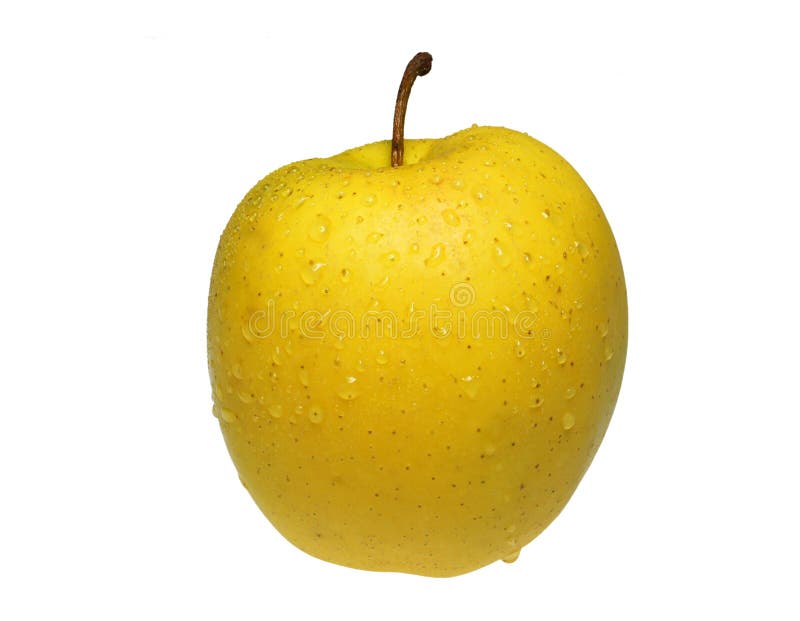 Yellow apple stock photo. Image of water, sour, leaf - 19961544