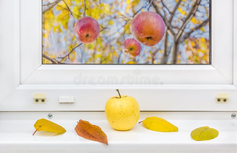 Yellow Apple and Autumn Leaves on a Windowsill Stock Image - Image of ...