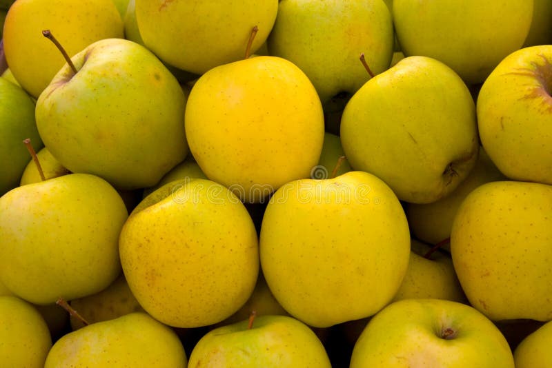 Food Background - Golden Bosc Pears Also Known As Kaiser Pears Stock ...