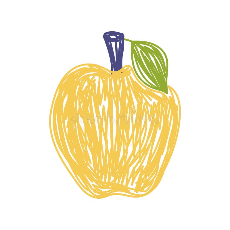 Yellow Apple Fruit Sketch. Color Vector Illustration Stock Vector ...