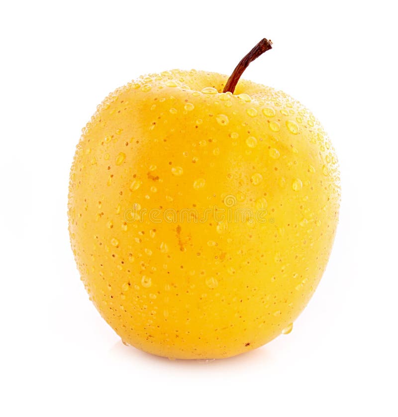 Yellow apple isolated stock photo. Image of yellow, nutriment - 13869434