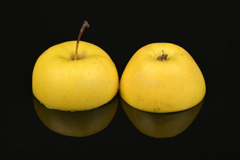 Yellow Apple Isolated on Black Mirror Stock Image - Image of golden ...
