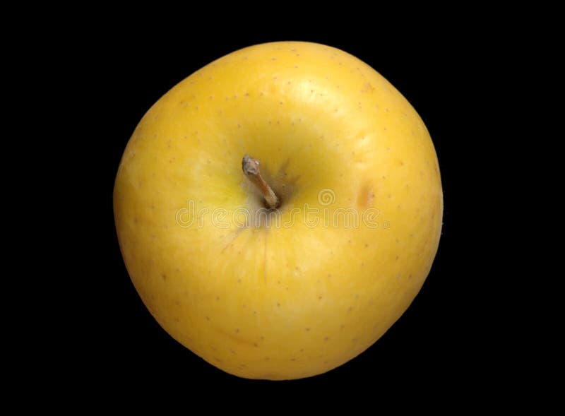 Yellow Apple Over Black stock photo. Image of lunch, natural - 182830