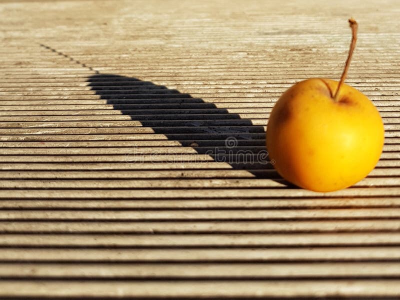 Yellow apple stock photo. Image of spring, spotted, apple - 97285776