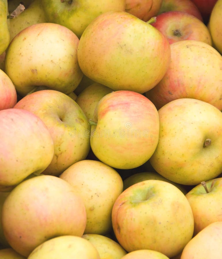 Yellow apples at a market. stock image. Image of harvest - 3137605