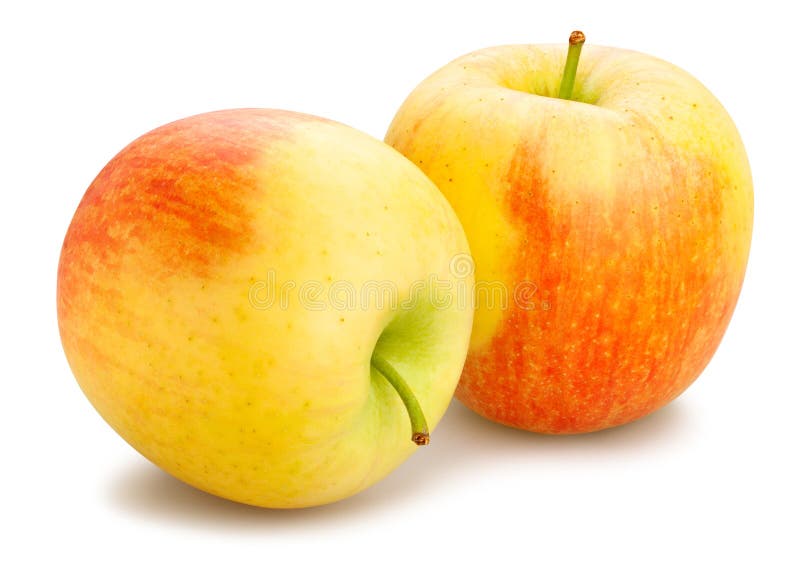Yellow apples stock image. Image of fruit, shiny, stem - 126019173